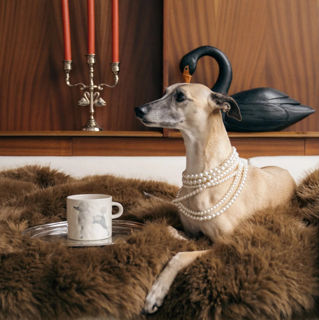Anna + Nina | Poodle Mug – About Living