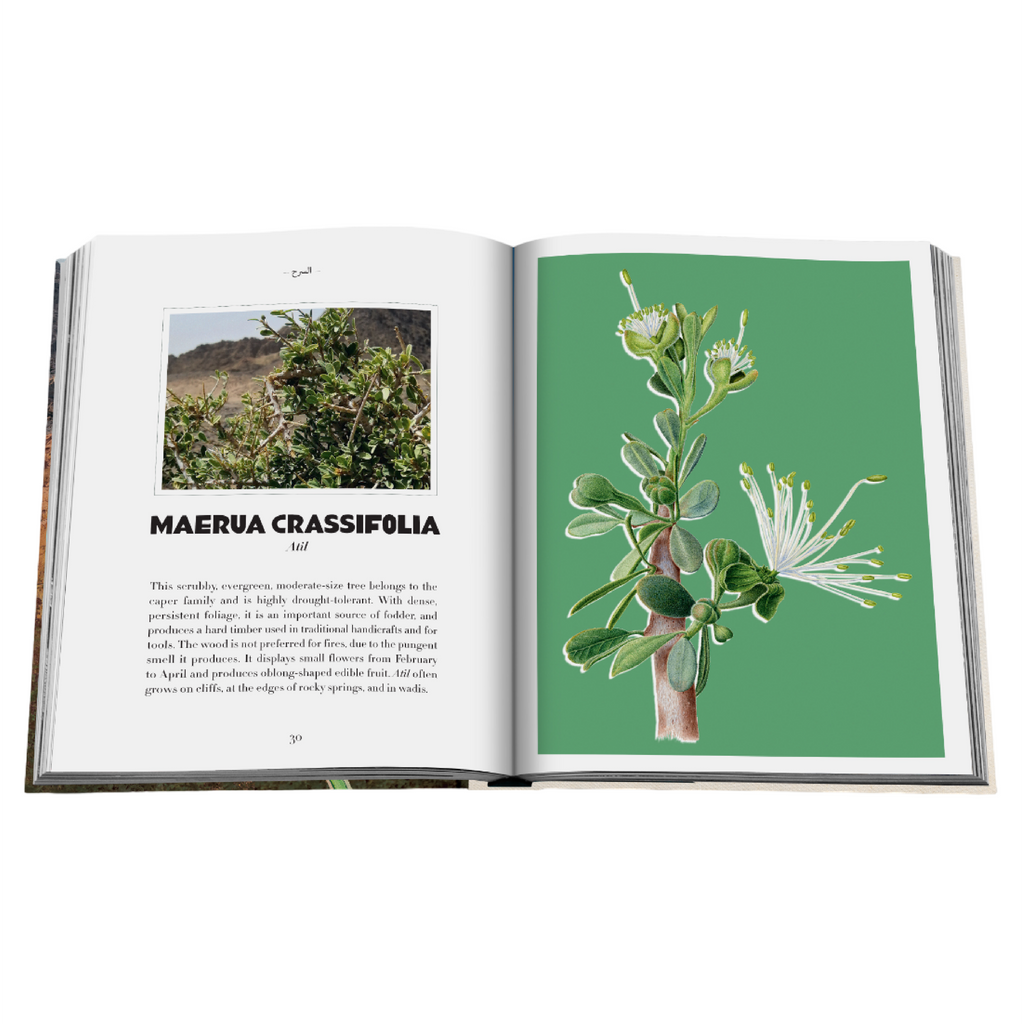 Assouline | ‘AlUla Flora: A Botanical Treasure’ Book by Abdulaziz ...