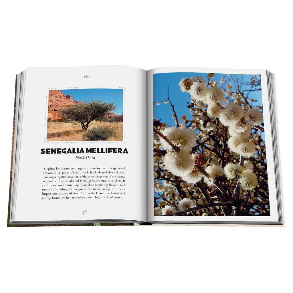 Assouline | ‘AlUla Flora: A Botanical Treasure’ Book by Abdulaziz ...