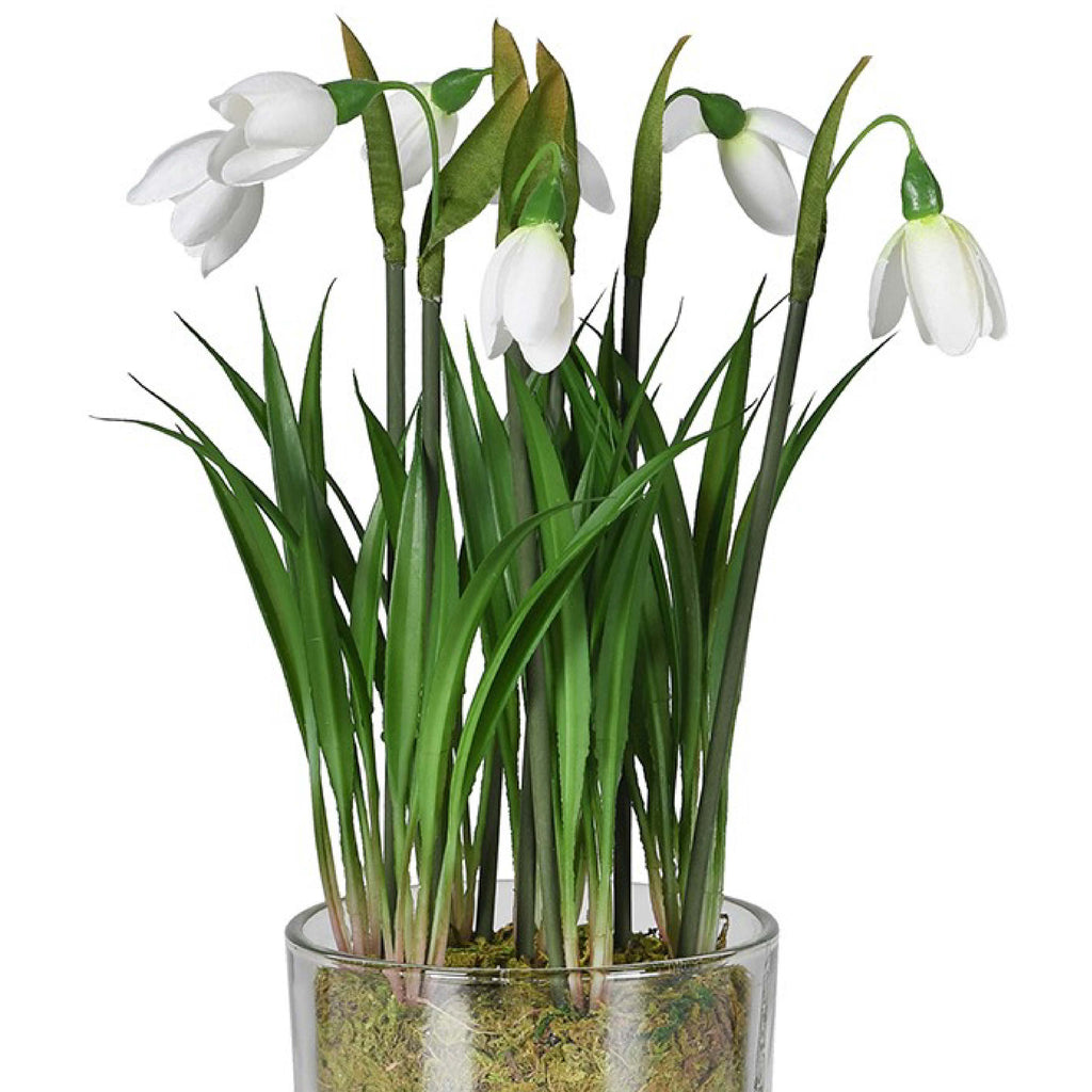 Christmas by AL | Faux Snowdrop Plant in Glass Pot (26cm) – About Living
