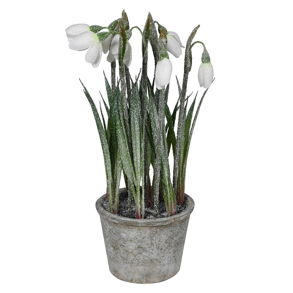CHRISTMAS by AL | Faux Glitter Snowdrop Bulbs in Pot – About Living