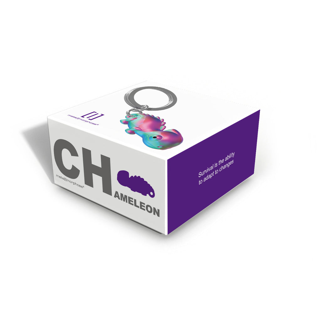 Buy Metalmorphose Oli Slick Chameleon Keyring | About Living