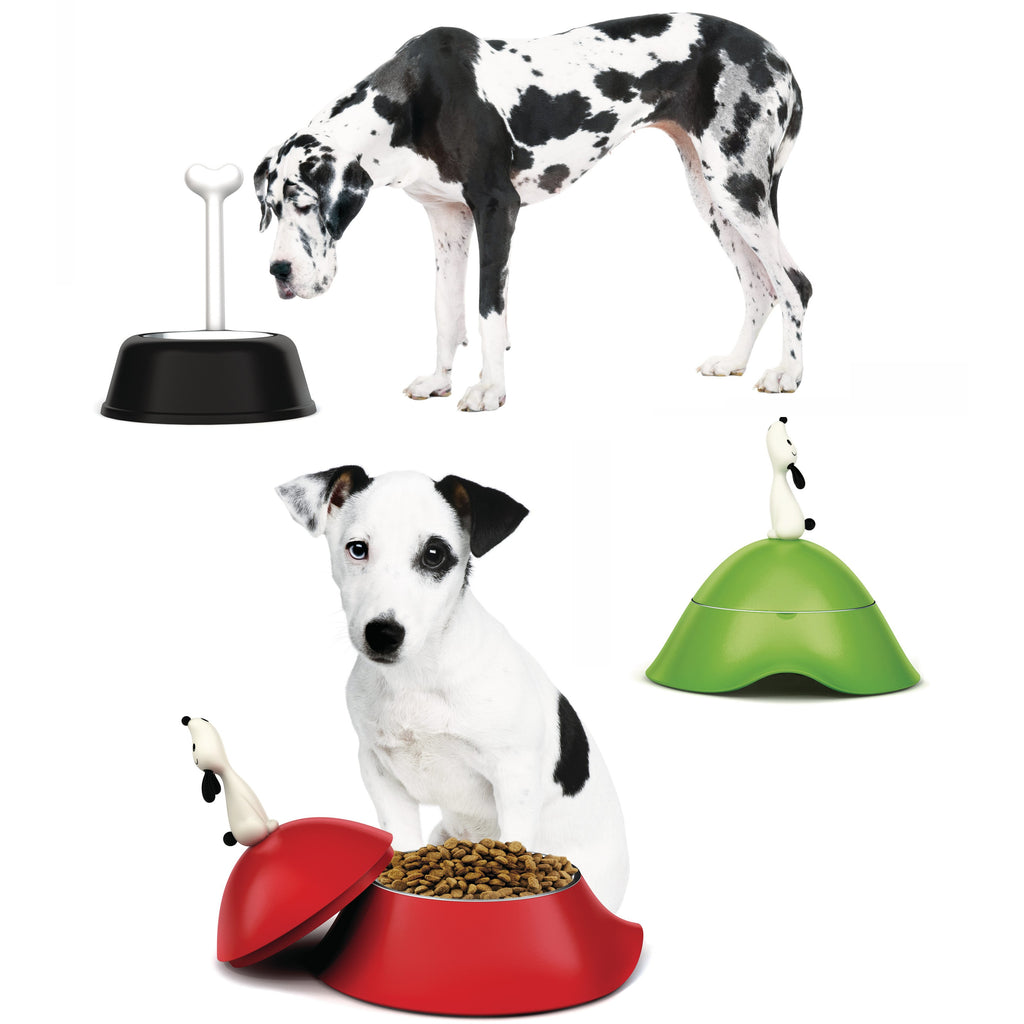 Buy Alessi Red Orange Lulà Dog Bowl | About Living