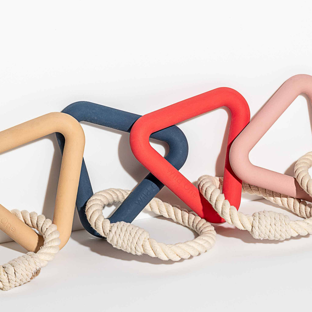 Buy Wild One Pink Triangle Tug Toy | About Living